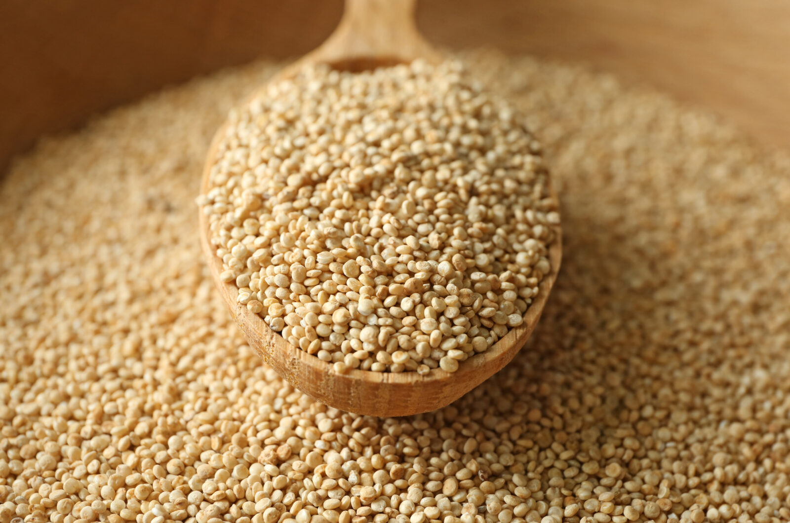 How to Cook Quinoa for Salad (And 12 of my BEST Quinoa Salad Recipes ...